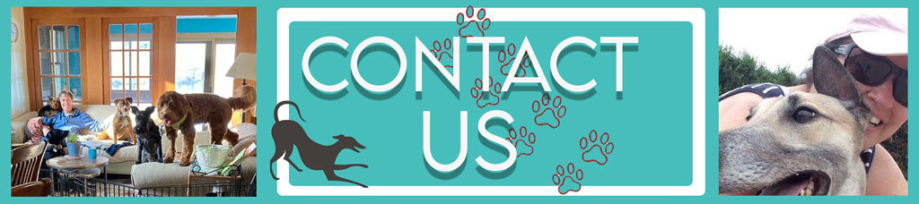 Contact – Go Dog Go Pet Care